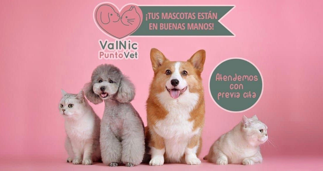 ValNic Punto Vet